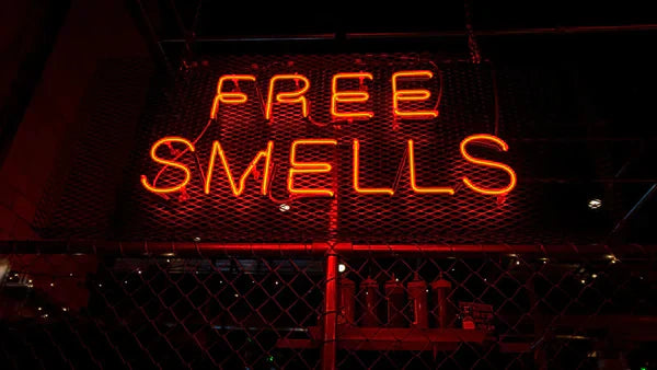 Are Broken Neon Signs Valuable? Uncover Their Hidden Worth HDJ Sign