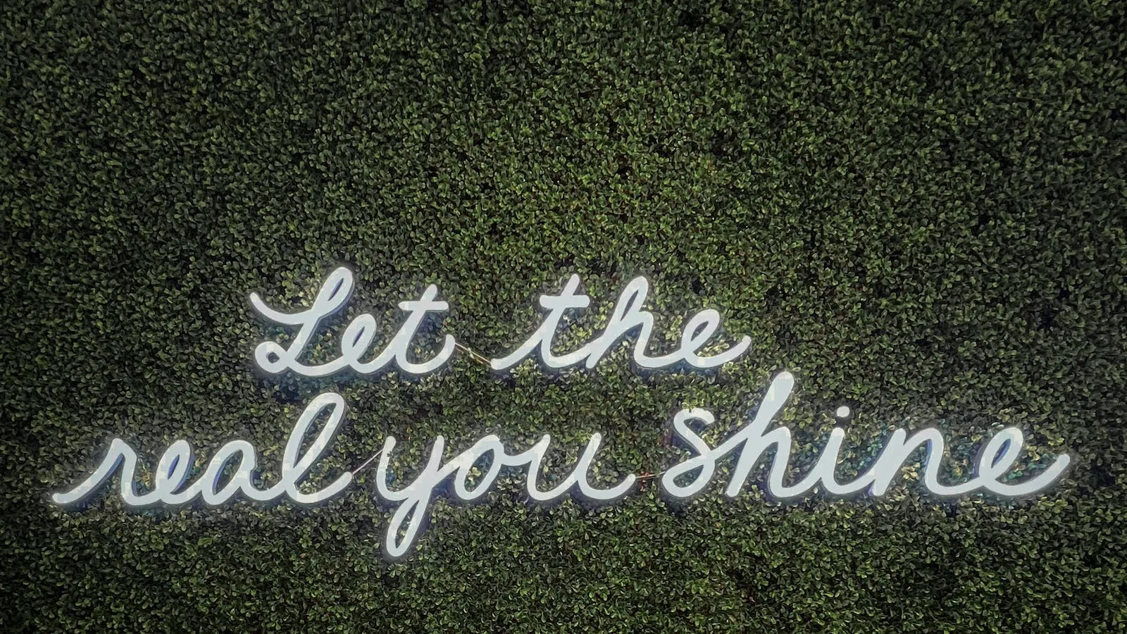 How to Hang Neon Sign on Boxwood Wall HDJ Sign